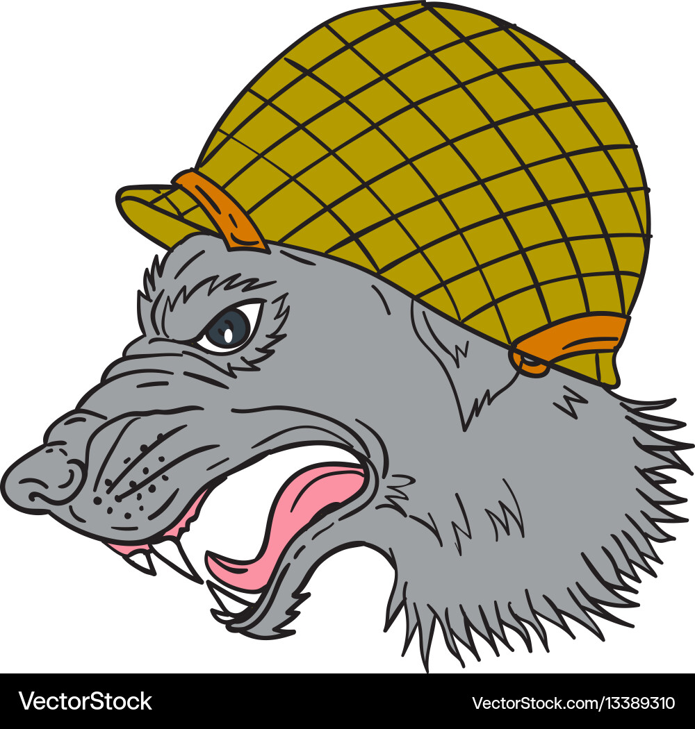 Grey wolf head growling ww2 helmet drawing Vector Image