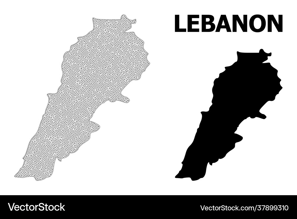 Polygonal network mesh high resolution map Vector Image