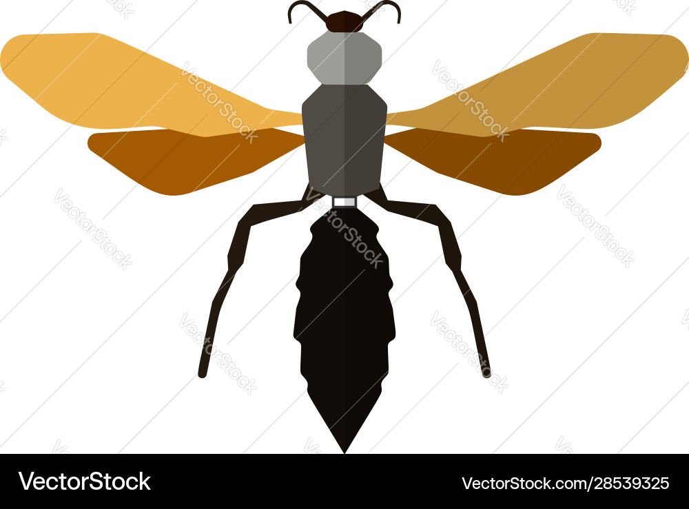 Insect icon in flat style isolated on white Vector Image