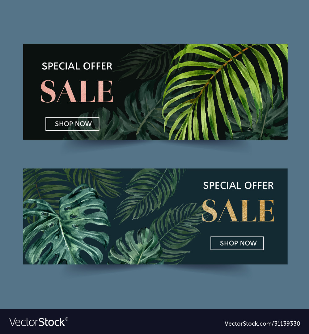 Banner design with classic tropical plants Vector Image