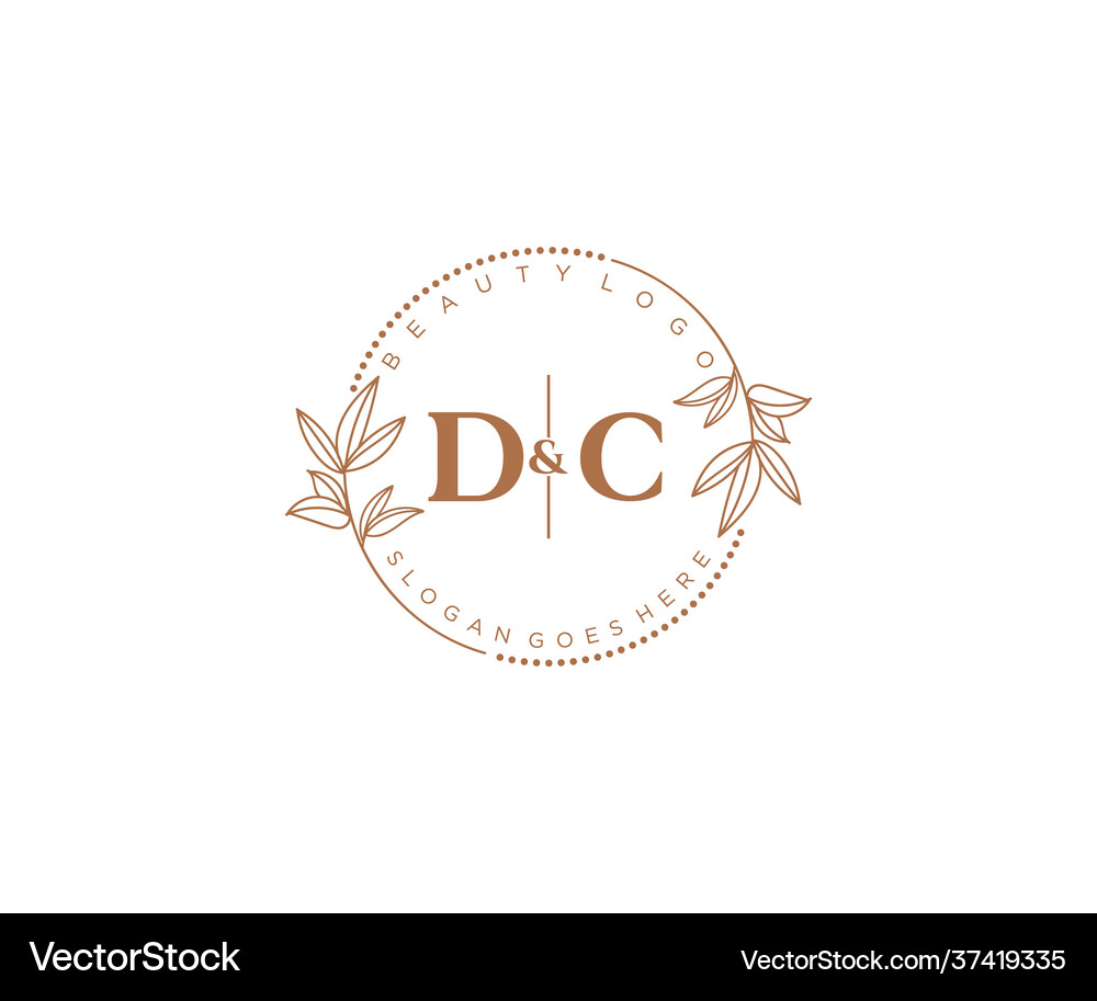 Initial dc letters beautiful floral feminine Vector Image