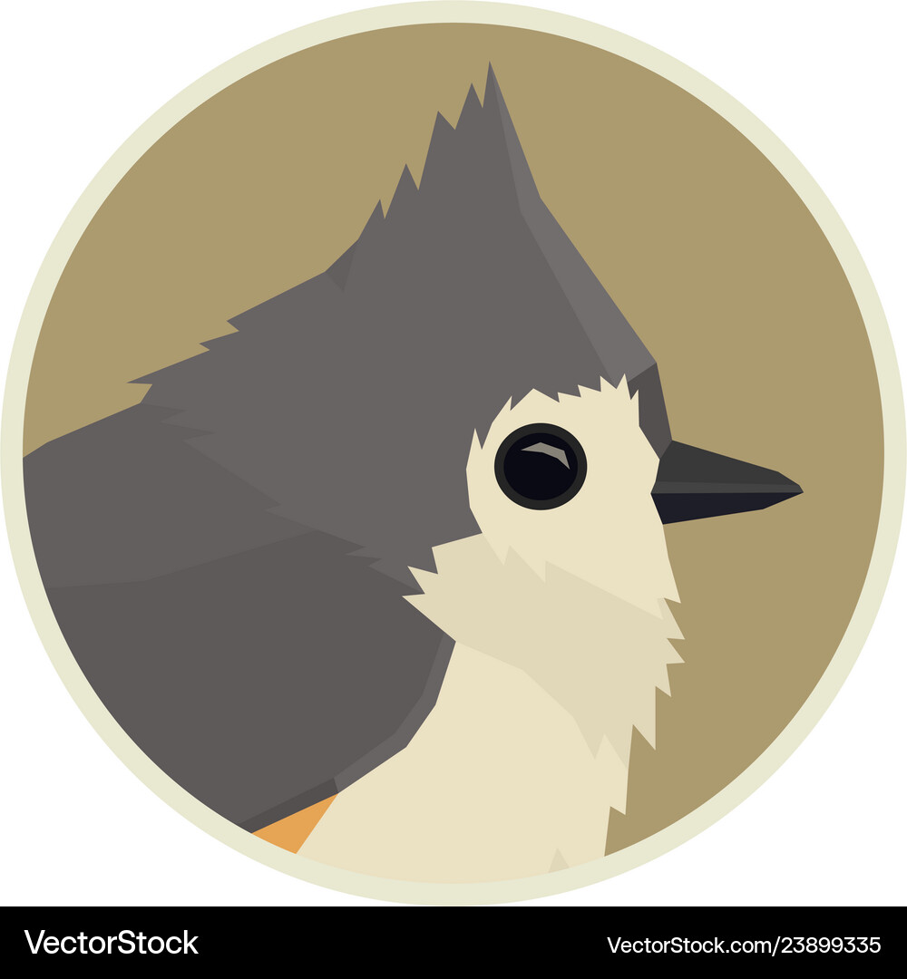 Tufted titmouse of bird Royalty Free Vector Image