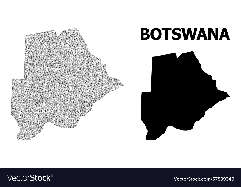 Polygonal wire frame mesh high detail map Vector Image Polygonal wire frame mesh high detail map Vector Image