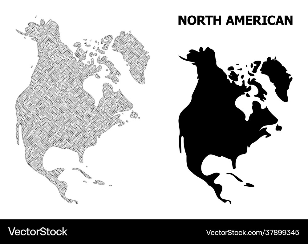 Polygonal network mesh high detail map Royalty Free Vector