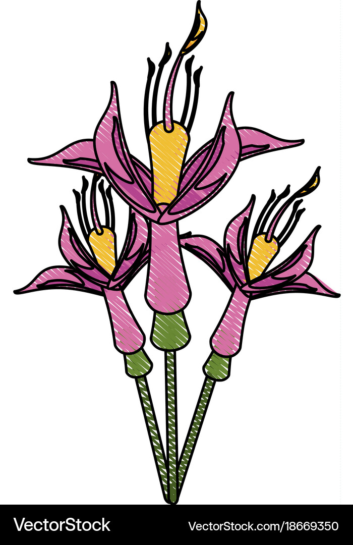 Beautiful flower symbol Royalty Free Vector Image