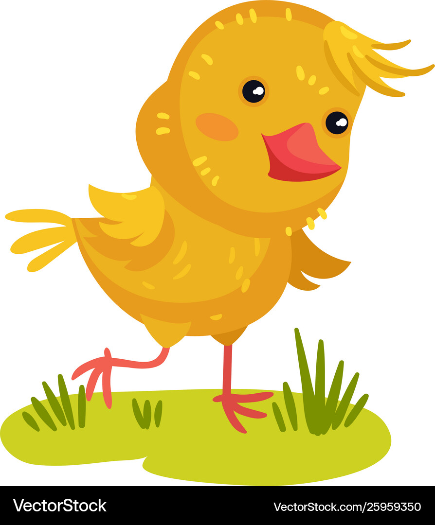Yellow chicken in meadow Royalty Free Vector Image