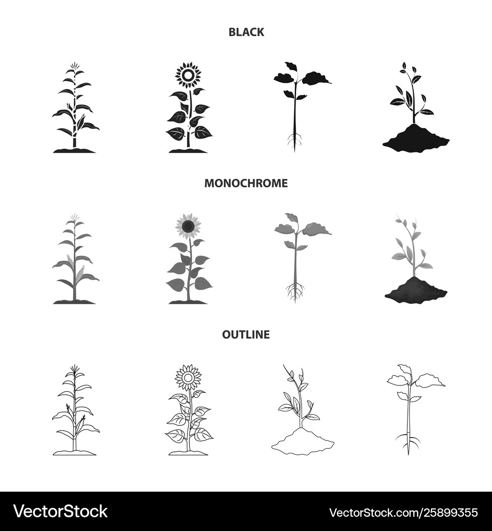 Design plant and bean symbol collection Royalty Free Vector