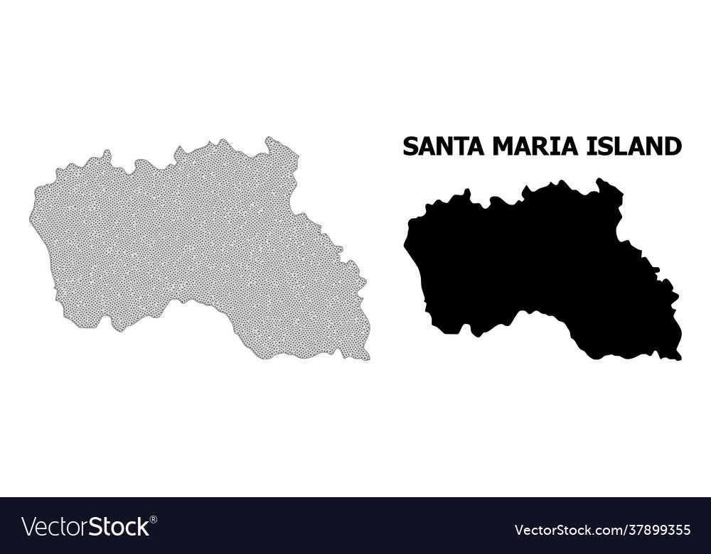 Polygonal Wire Frame Mesh High Detail Map Vector Image