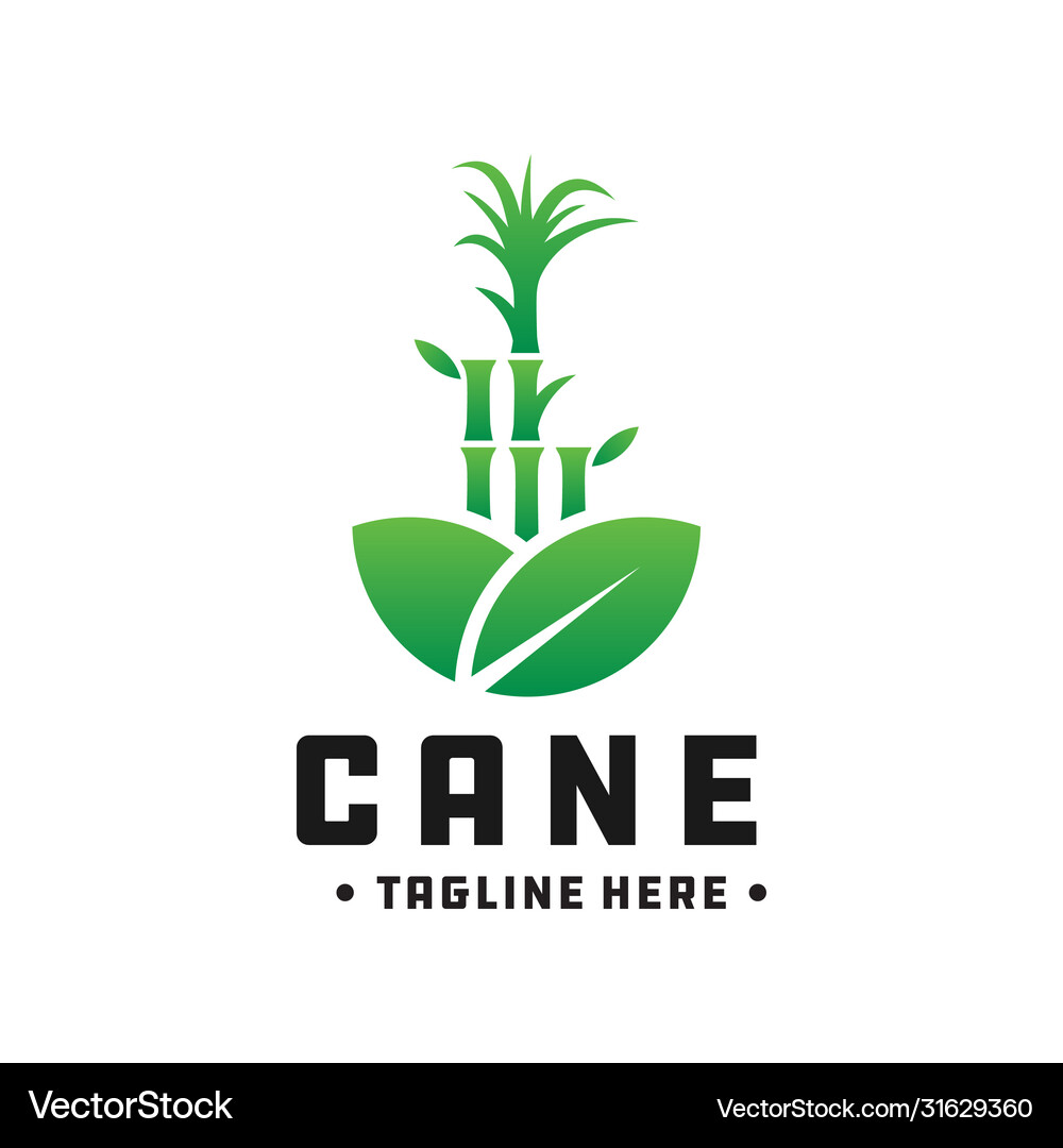 Bamboo and cane green logo Royalty Free Vector Image
