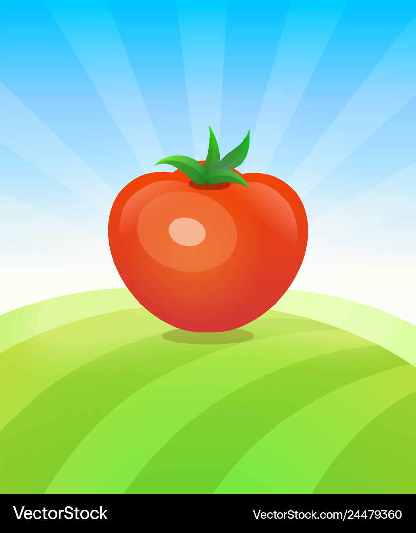 Banner template with tomato - vegetables trade Vector Image