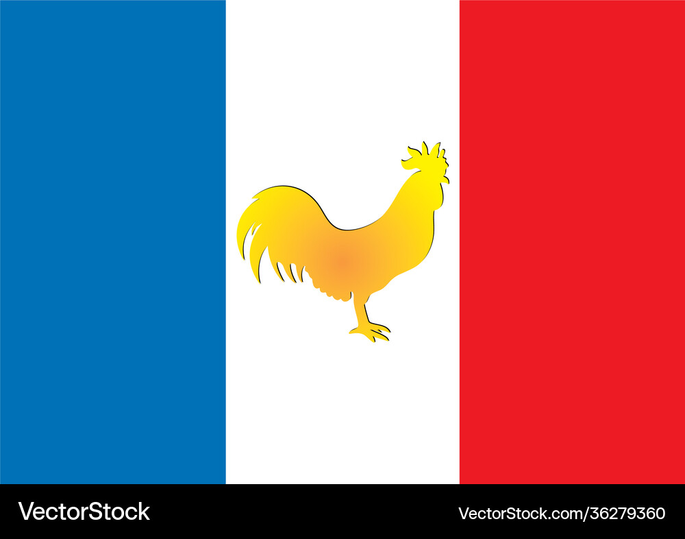French flag Royalty Free Vector Image - VectorStock