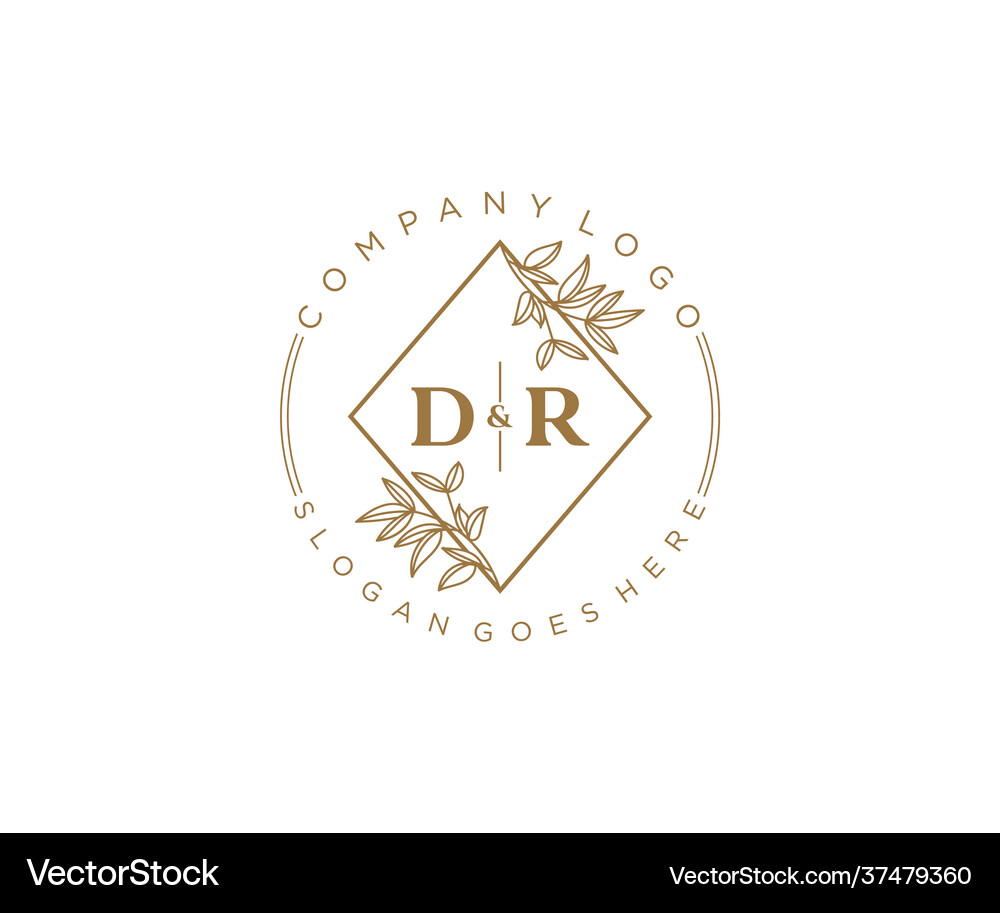 Initial dr letters beautiful floral feminine Vector Image