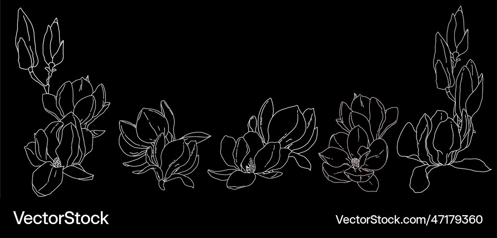 Magnolia flowers in bloom frame border template Vector Image