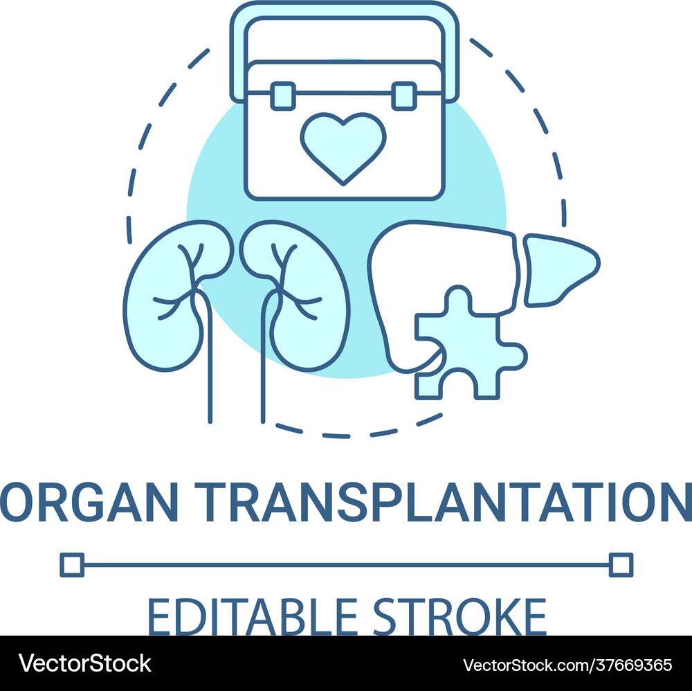 Organ transplantation blue concept icon Royalty Free Vector