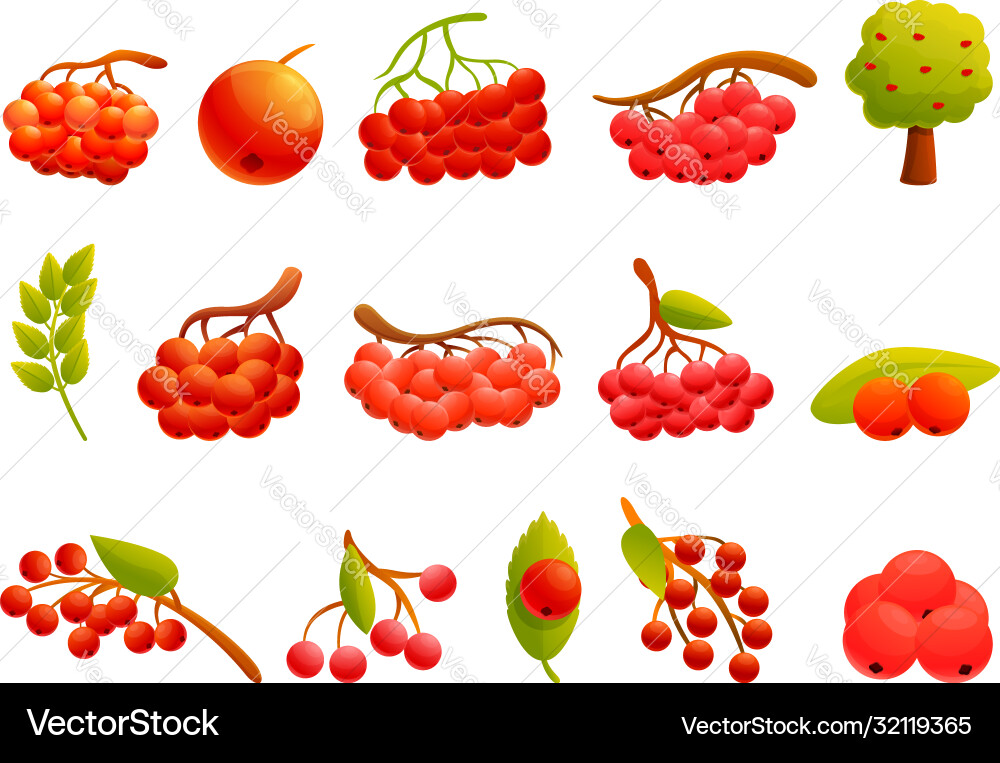 Rowan icons set cartoon style Royalty Free Vector Image