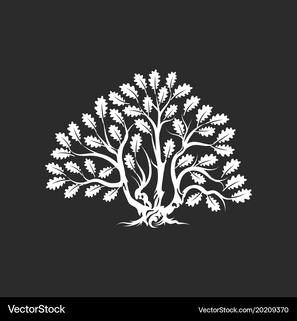 Huge and sacred oak tree silhouette logo Vector Image