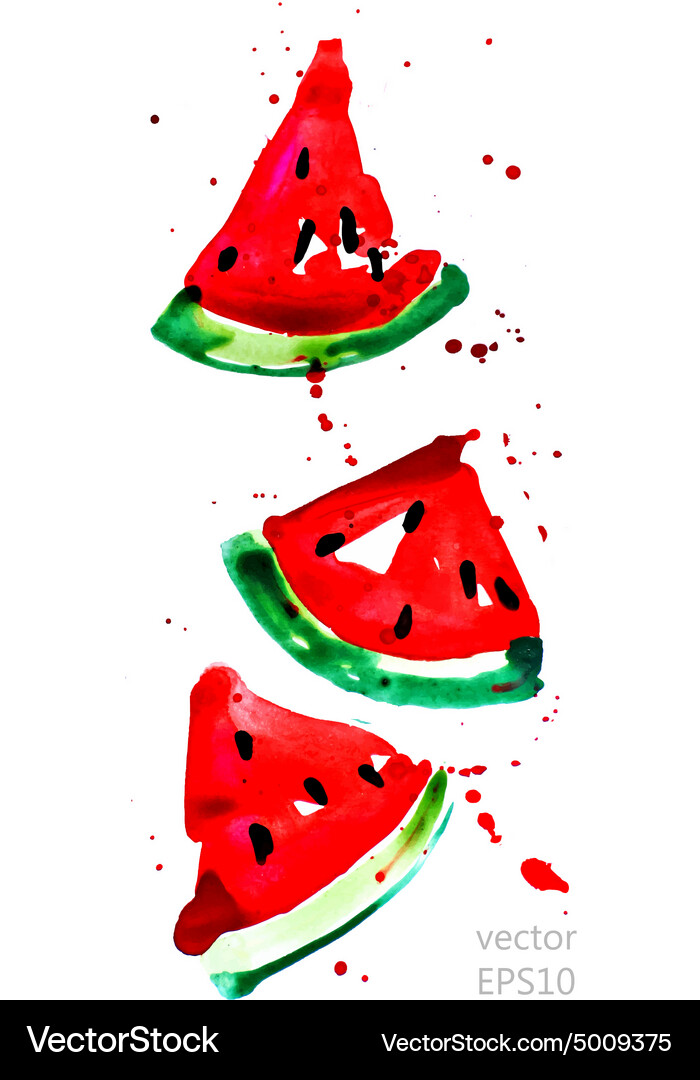 Slices of watermelon Royalty Free Vector Image