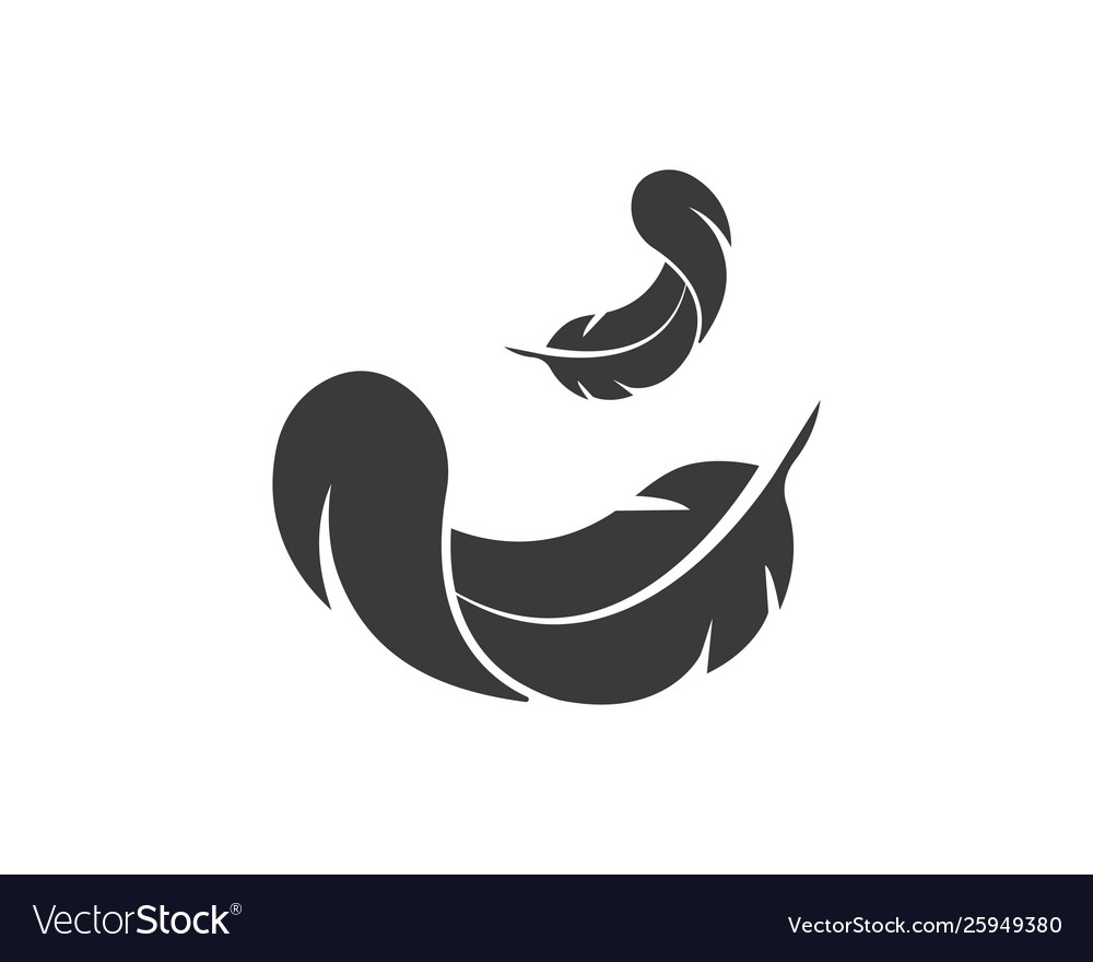 Feather icon template Royalty Free Vector Image