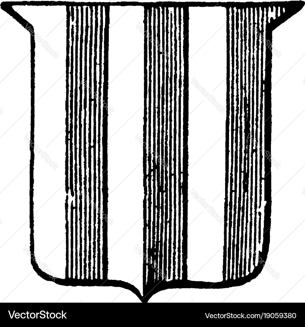 Heraldry paly have vertical stripes vintage Vector Image