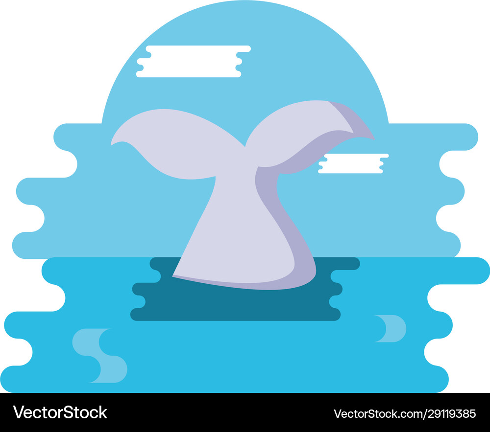 Cute australian whale fin design Royalty Free Vector Image