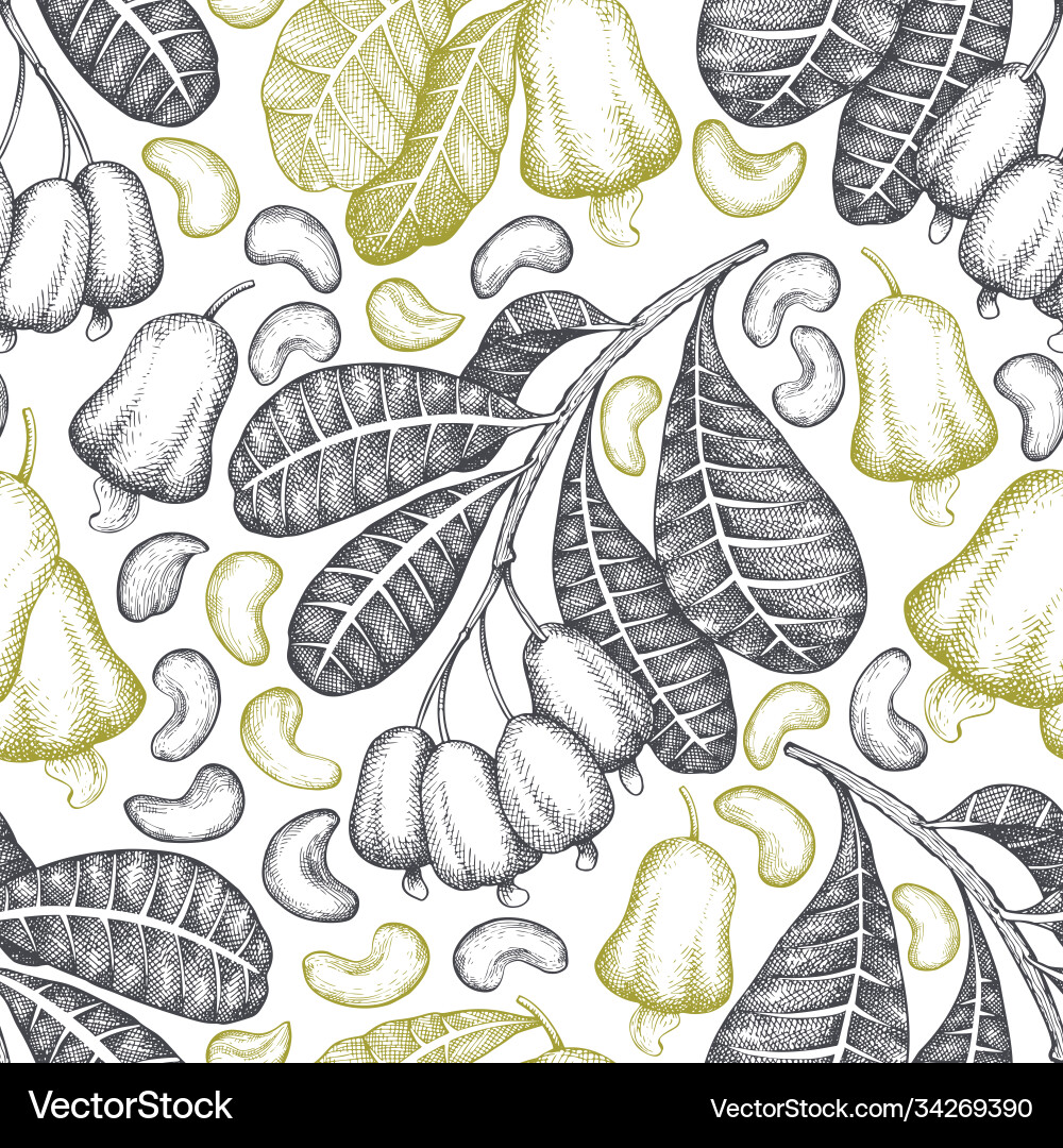 Hand drawn sketch cashew seamless pattern organic Vector Image