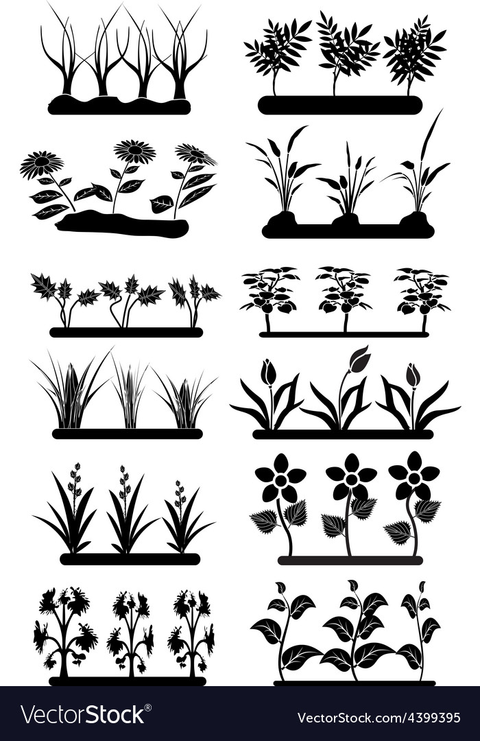 Flower fields set Royalty Free Vector Image - VectorStock