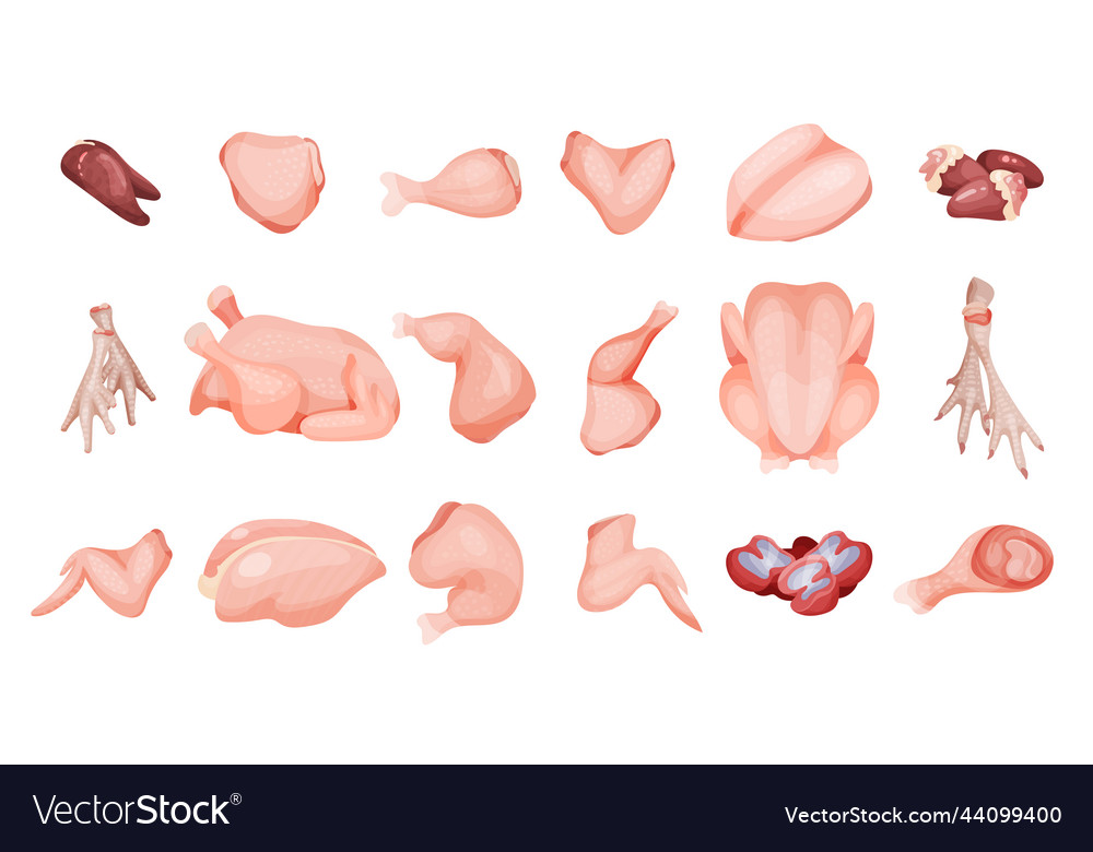 Chicken meat with different parts of whole carcass