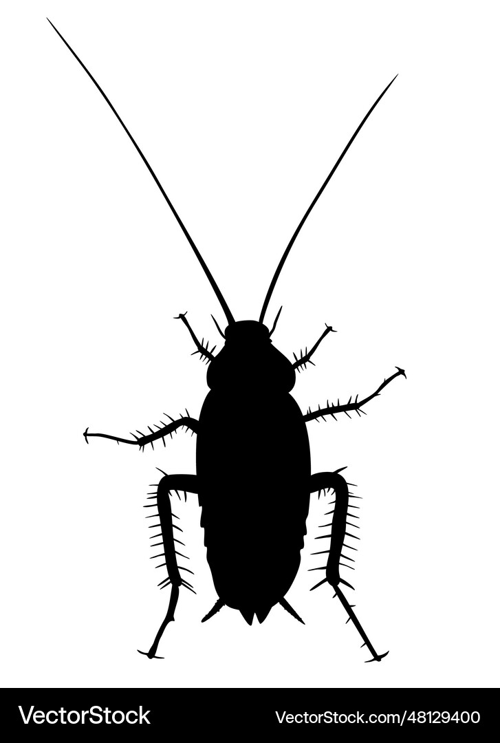 Cockroach monochrome isolated on white Royalty Free Vector