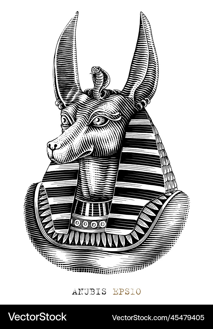 Anubis hand draw engraving style black and white Vector Image