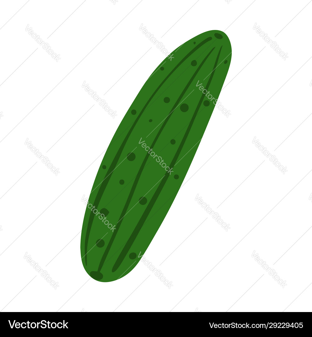 Cute cucumber isolated on white background doodle Vector Image
