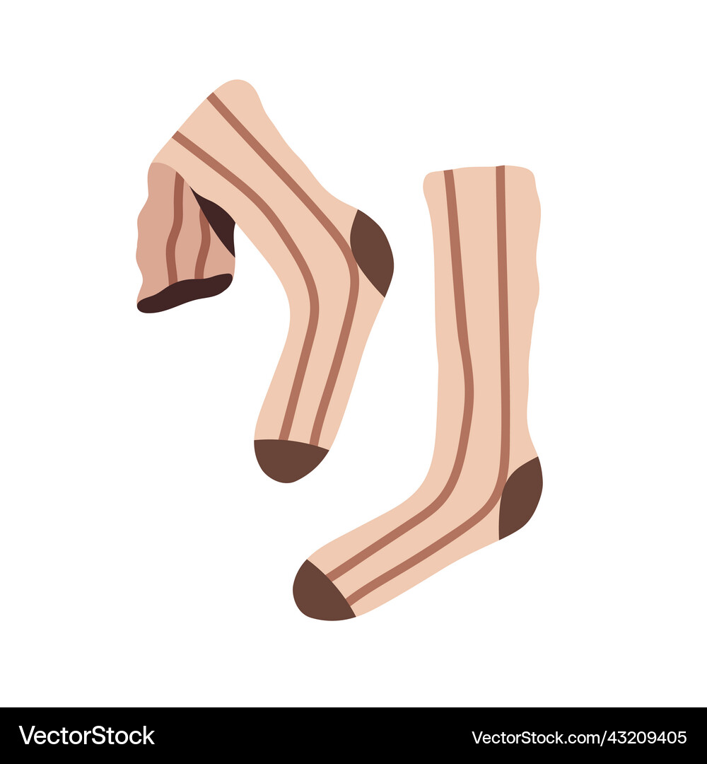 Pair of long socks with stripes pattern cotton Vector Image