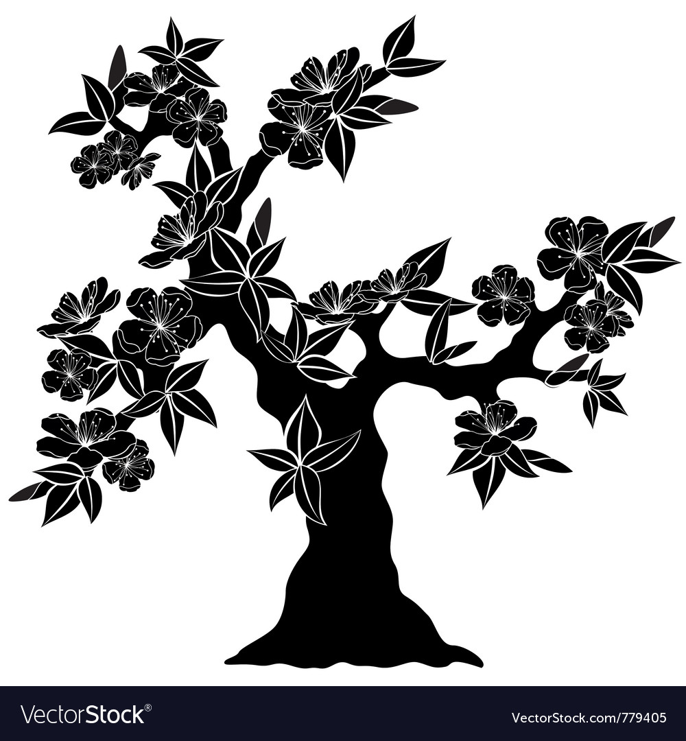 Silhouette of spring tree Royalty Free Vector Image