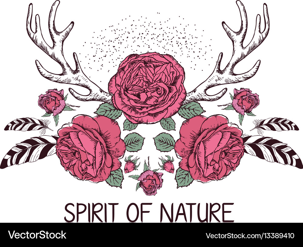 Hand drawn boho style design with rose flower Vector Image