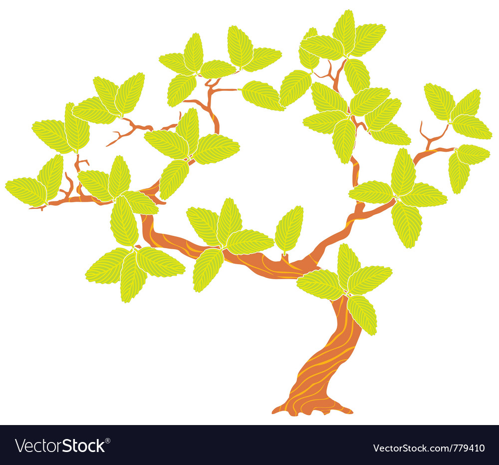 Spring tree Royalty Free Vector Image - VectorStock