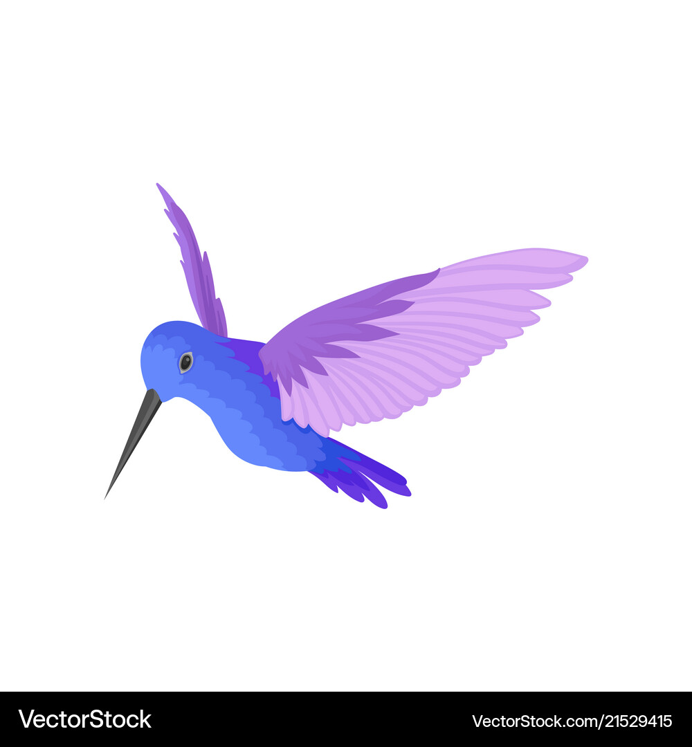 Flat icon beautiful blue hummingbird Royalty Free Vector