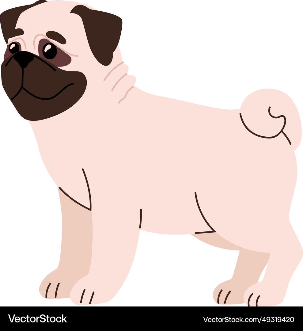 Dog breed bulldog Royalty Free Vector Image - VectorStock