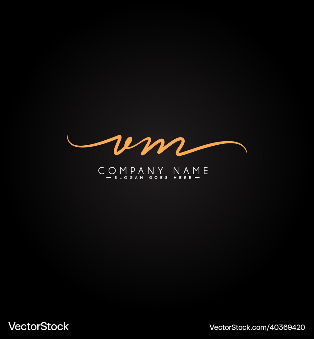 Initial letter vm logo - handwritten signature Vector Image