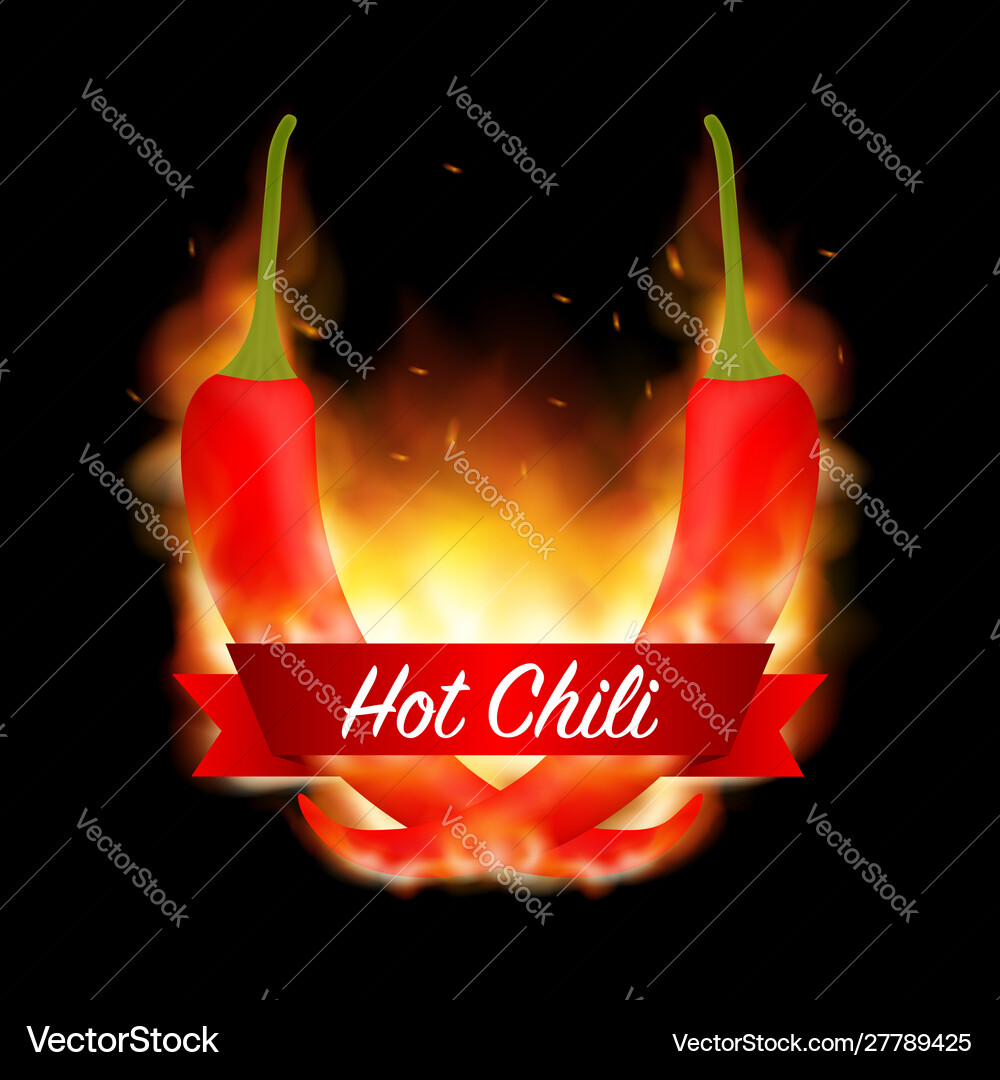 A burning hot spicy red chilli pepper covered Vector Image