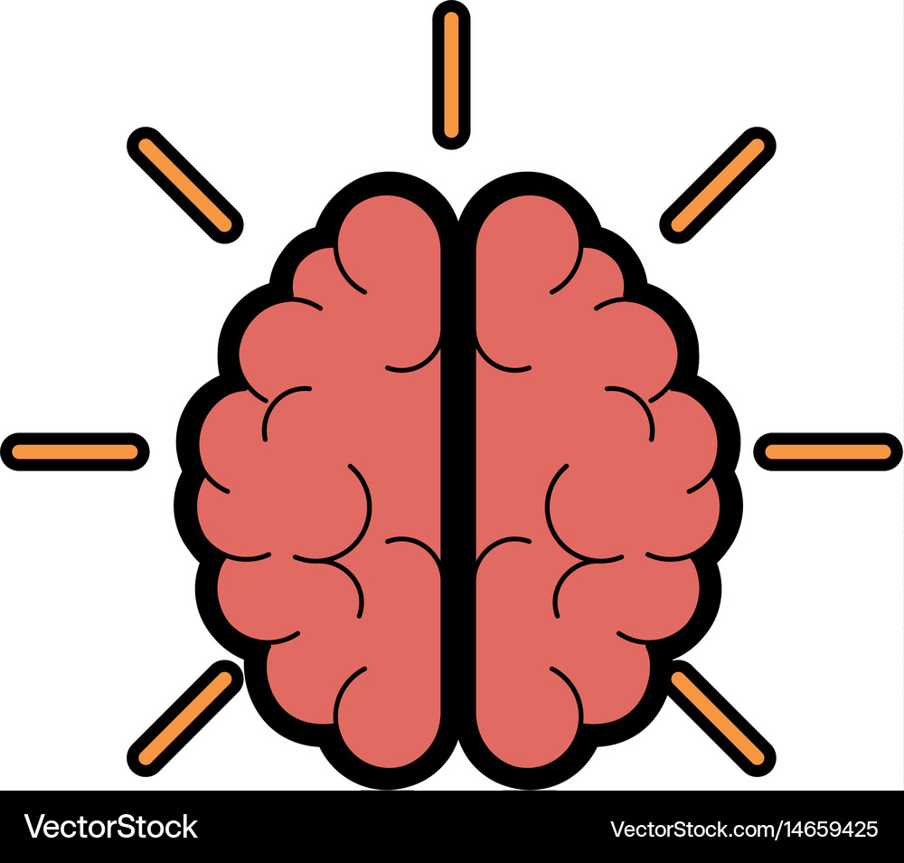 Brain organ icon Royalty Free Vector Image - VectorStock