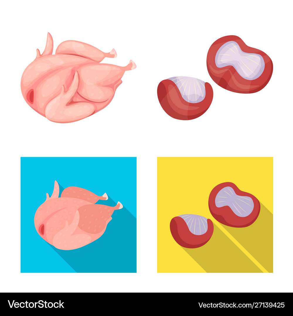 Isolated object product and poultry icon Vector Image