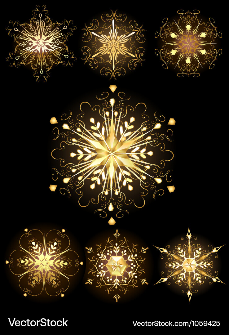 Jewelry snowflakes Royalty Free Vector Image - VectorStock