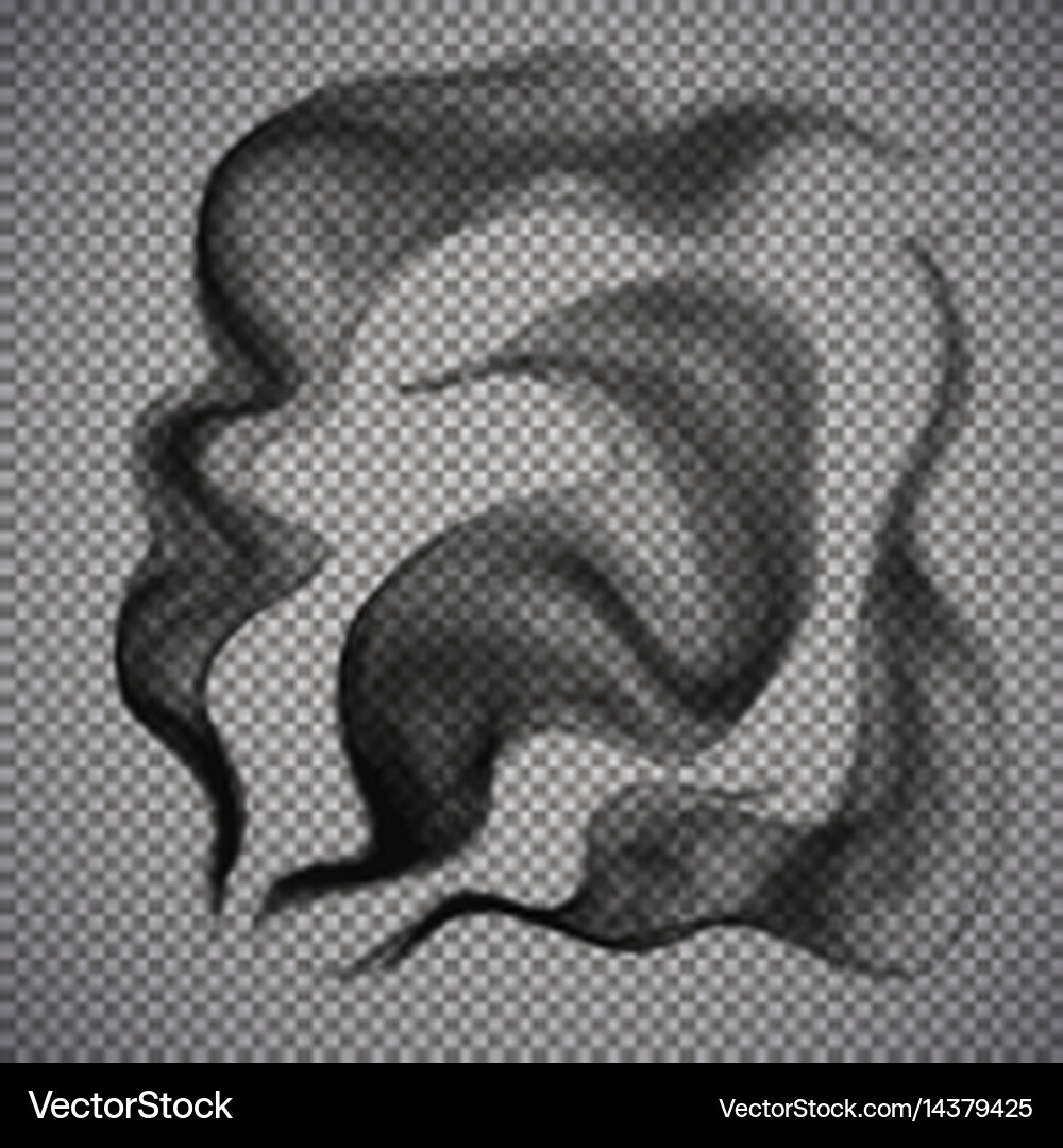 Smoke isolated transparent Royalty Free Vector Image