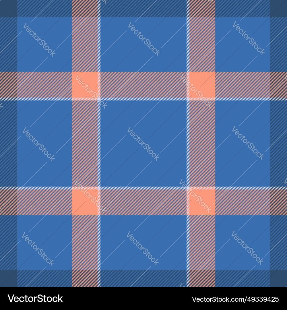Textile check of background tartan texture Vector Image