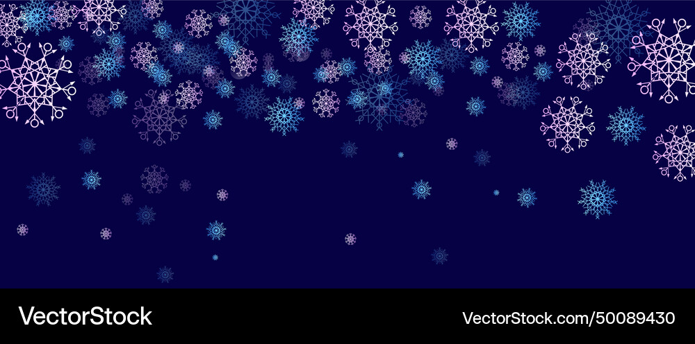 Blue and white winter banner with decorations Vector Image