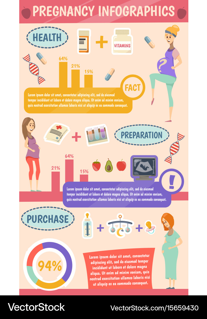 Pregnancy cartoon infographics Royalty Free Vector Image