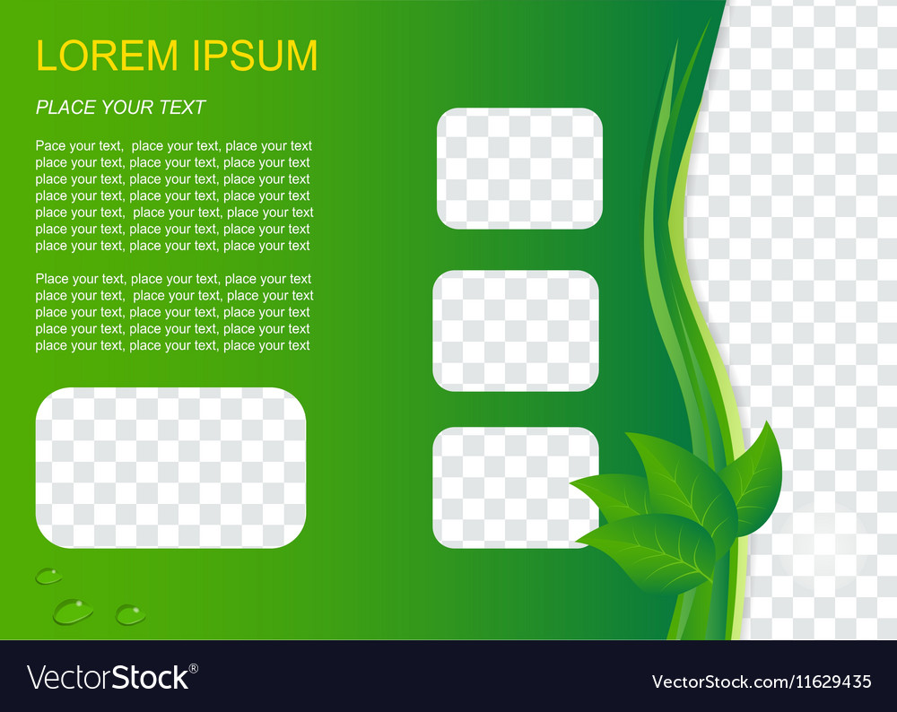 Template a4 Royalty Free Vector Image - VectorStock