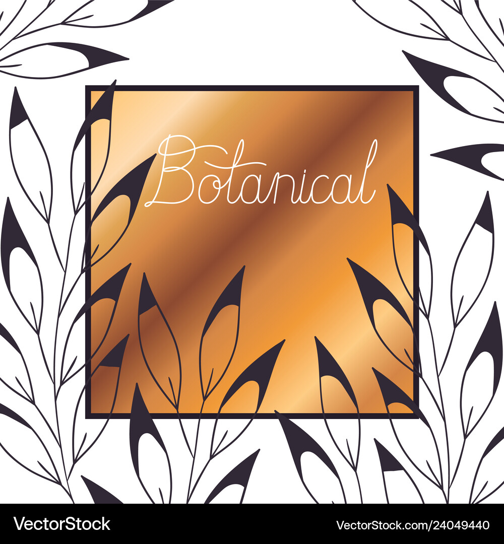 Botanical label with plants isolated icon Vector Image