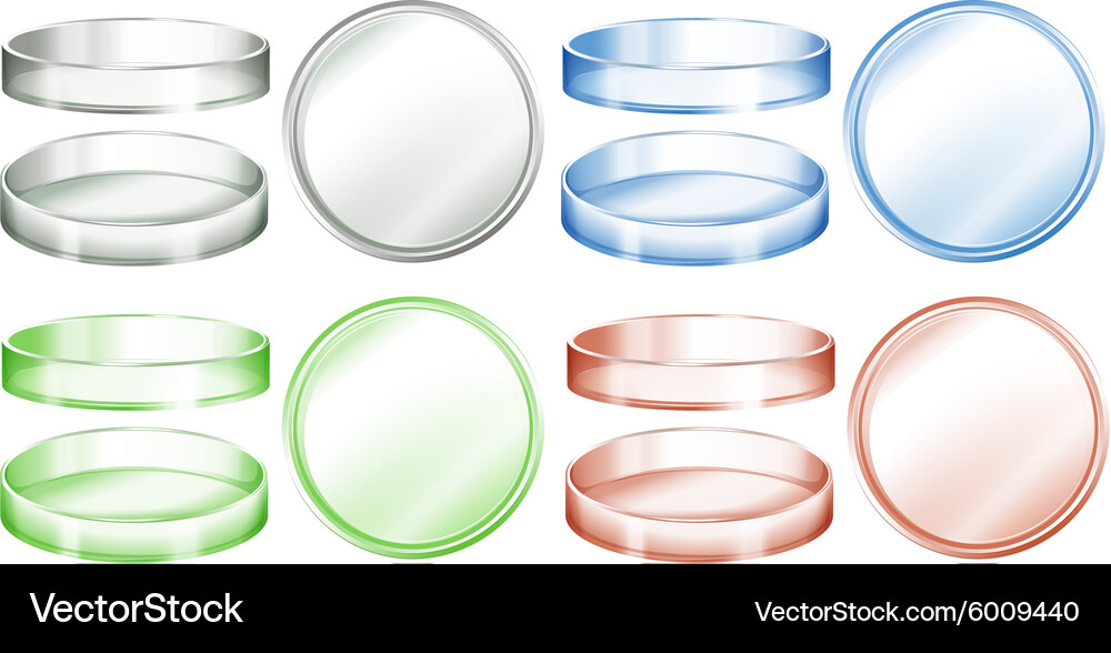 Petri Dish Drawing