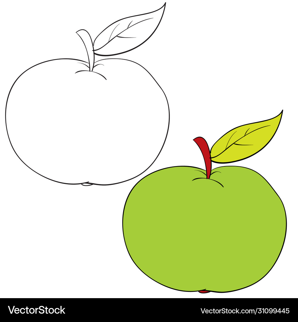 Set apple drawn in black lines and painted Vector Image
