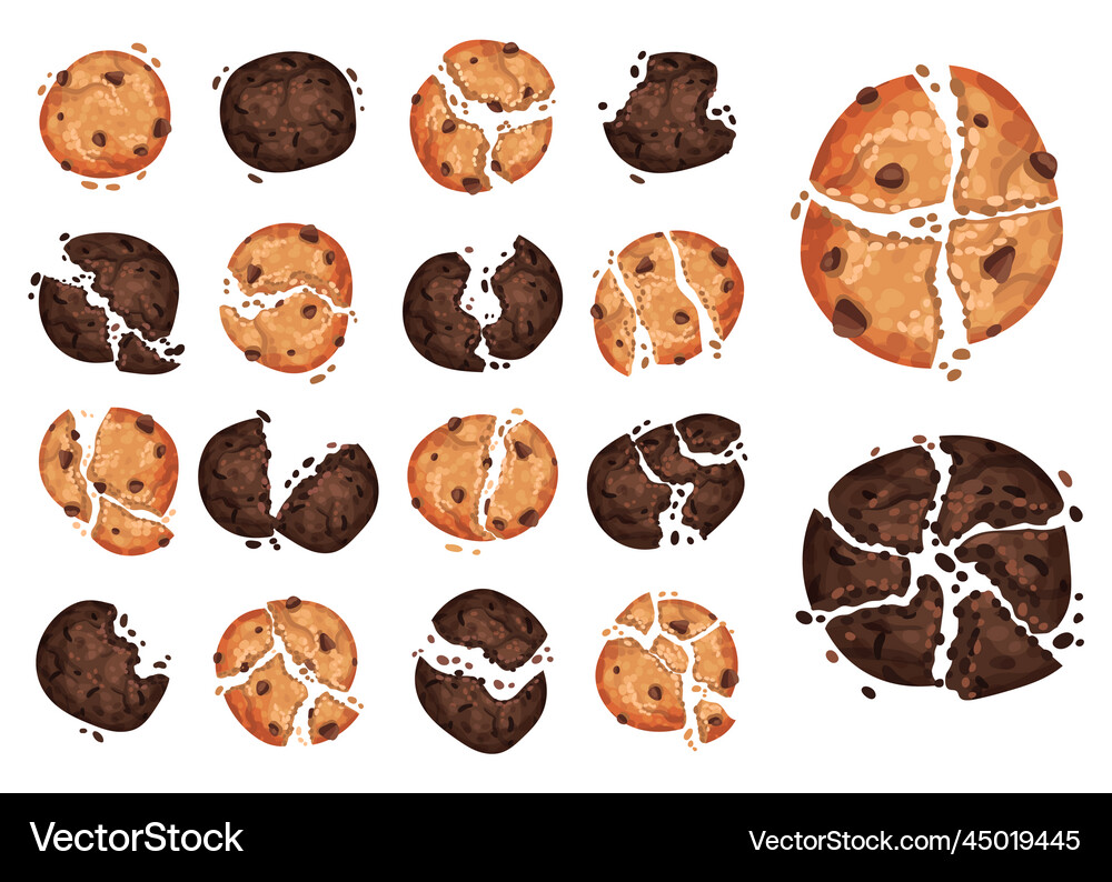 Traditional broken cookies with chocolate crisps Vector Image